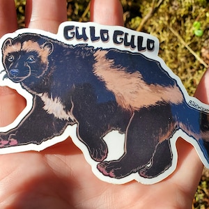 Gulo Gulo - Wolverine - Alaska Nature Wildlife Art Sticker - Etsy