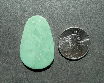 Lucin Utah Variscite - Etsy
