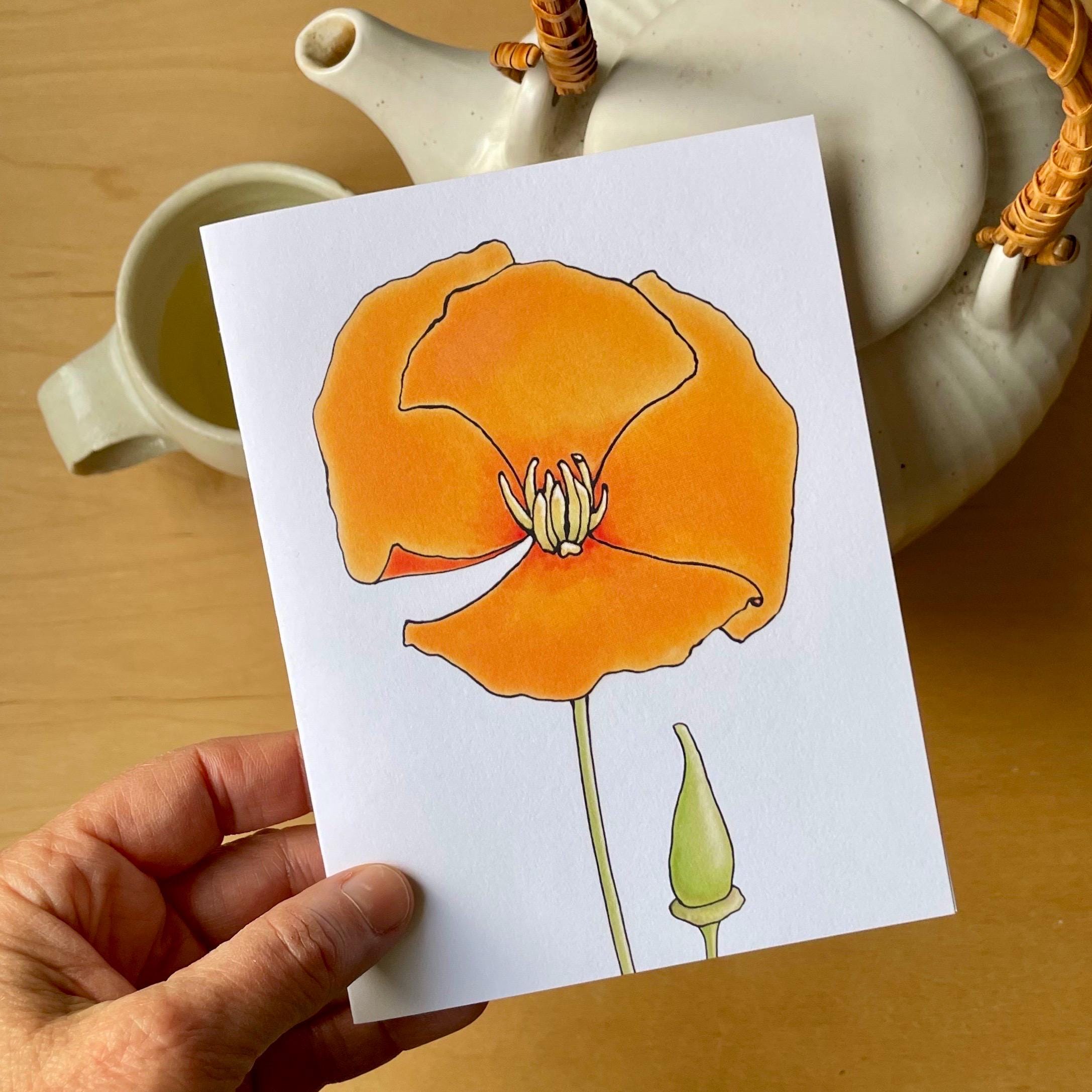 California Poppy Greeting Card/botanical Art Cards/artist Illustrated ...