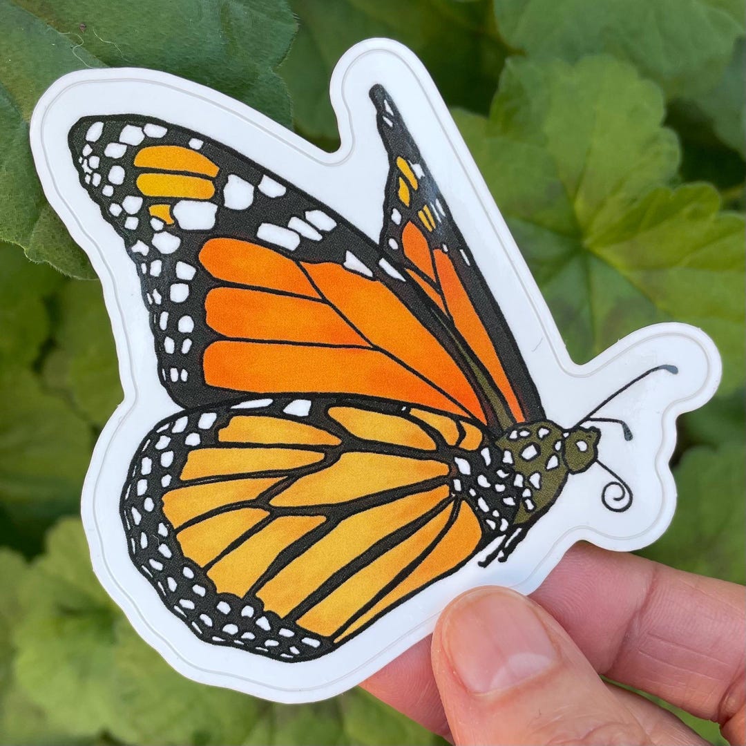 Monarch Butterfly Sticker/artist Illustrated Butterfly Decal/waterproof ...