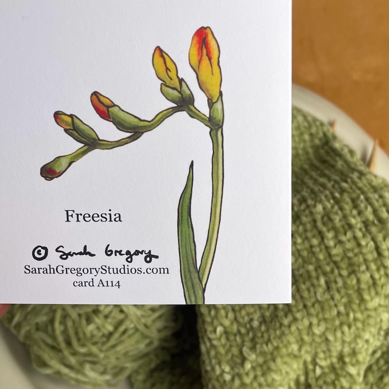 Freesia Flower Greeting Card/botanical Illustration Art Card/blank Card ...