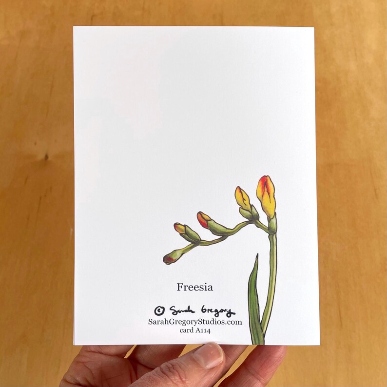 Freesia Flower Greeting Card/botanical Illustration Art Card/blank Card ...