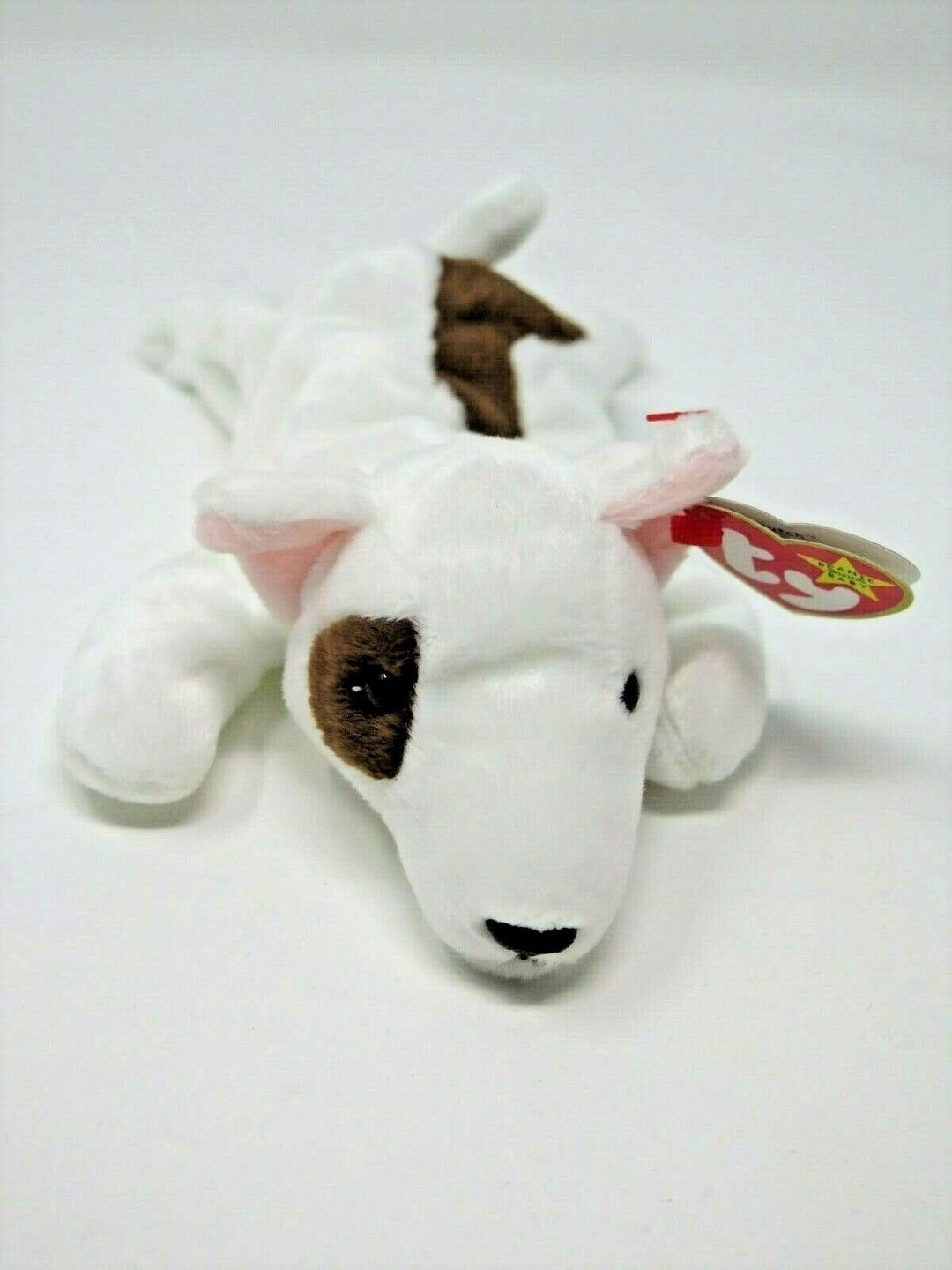 Ty Beanie Babies Baby Butch the Bull Terrier Dog October - Etsy
