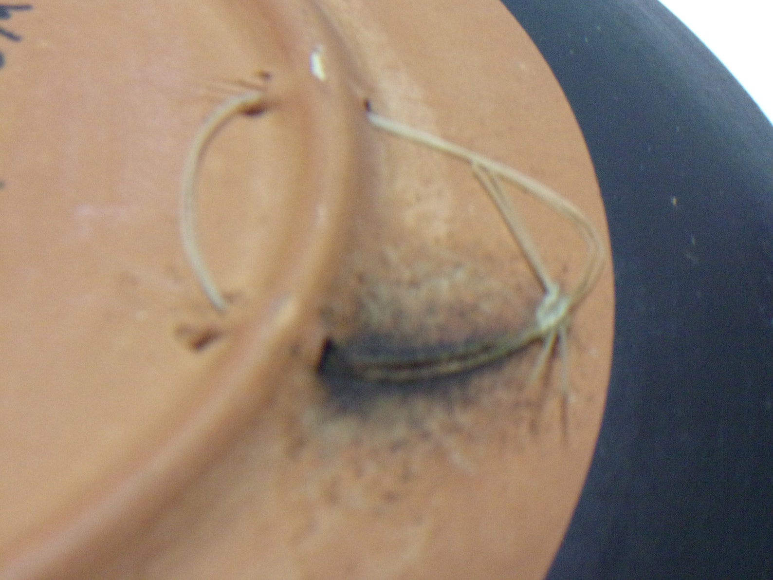 Greek Soldiers Plate Trojan Warriors Crete Greece Decorative | Etsy