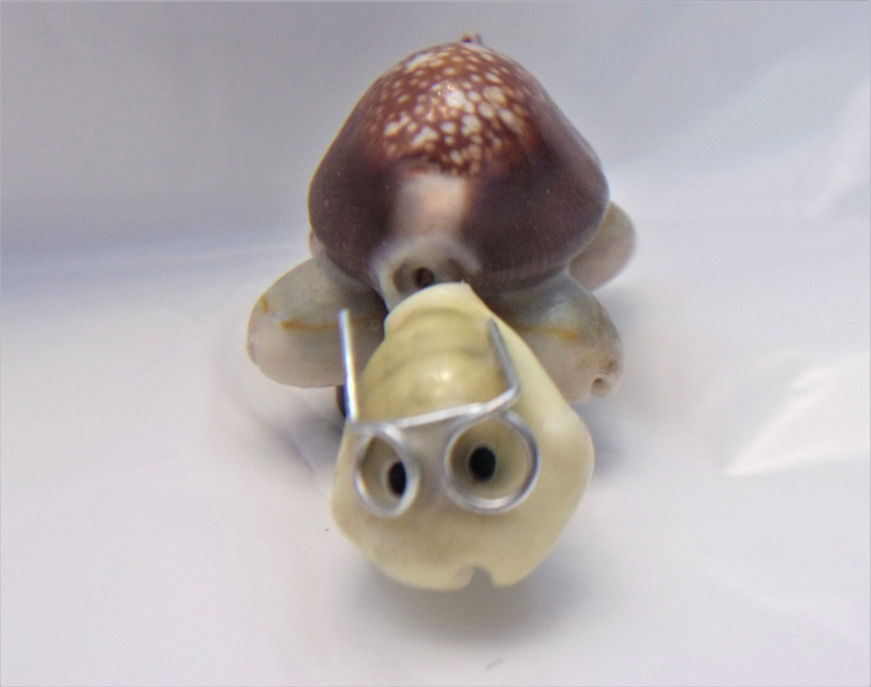 Shell Turtle Magnet Vintage Seashell Refrigerator Magnet | Etsy