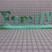 Green Wood Family Sign Wooden Home Office Decor - Etsy