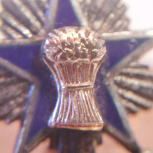 Sterling Military Star Pin Armed Forces Vintage Unisex Service Medal ...