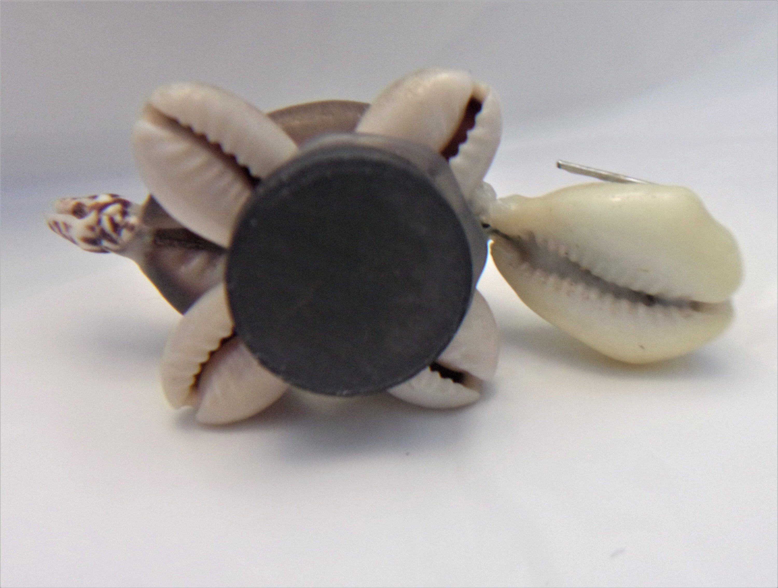 Shell Turtle Magnet Vintage Seashell Refrigerator Magnet | Etsy