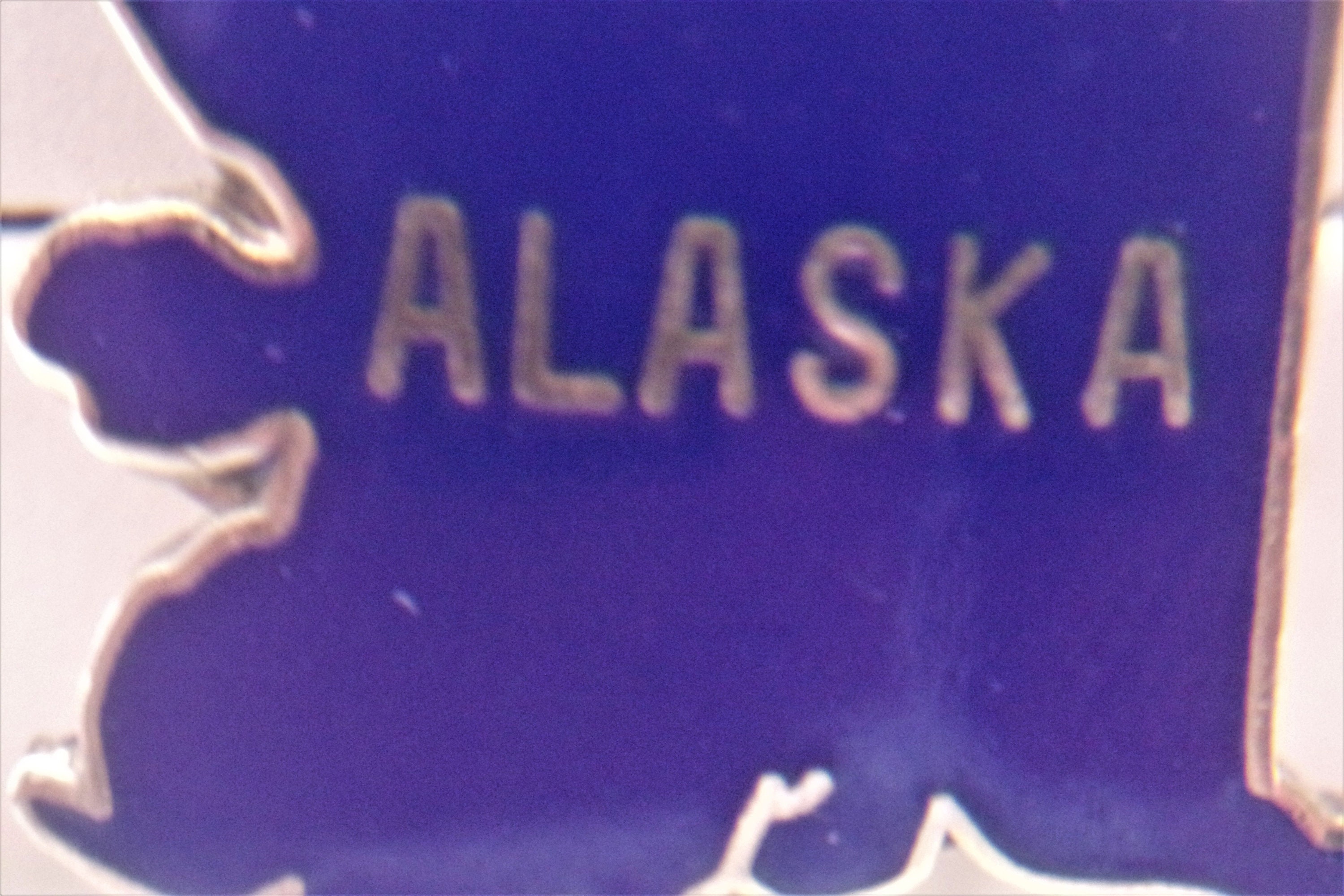 Alaska Pin Unisex Jewelry Fashion Accessories for Mom for Her | Etsy