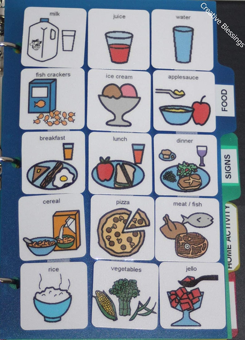Autism Communication Photo Book: 150 Picture Cards for Speech, Apraxia ...