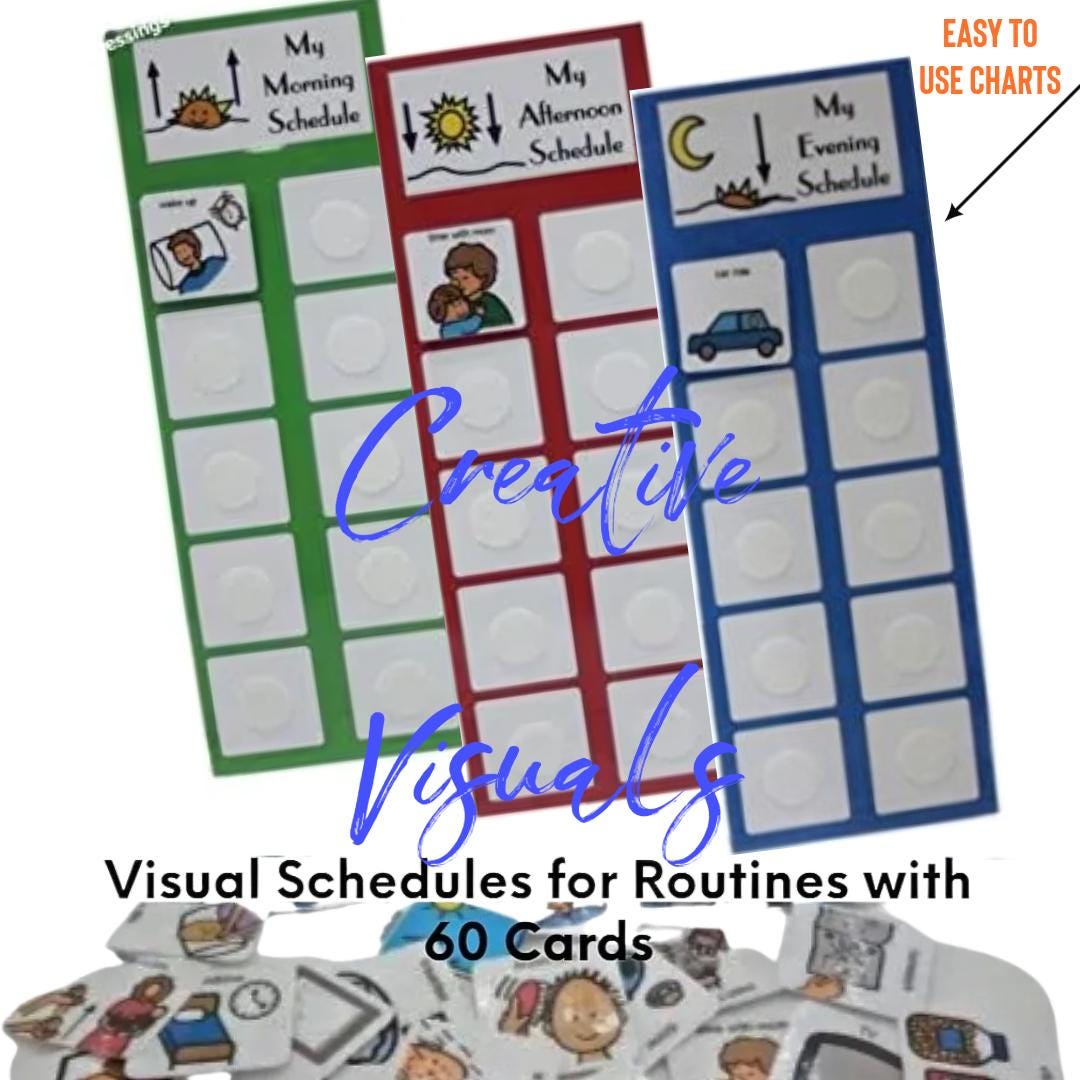 Daily Visual Schedule W/ 3 Charts & 60 PCS Picture Cards, Communication ...