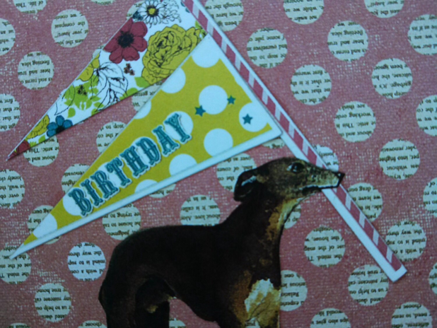Happy Birthday Greyhound With Pennant Single Notecard - Etsy