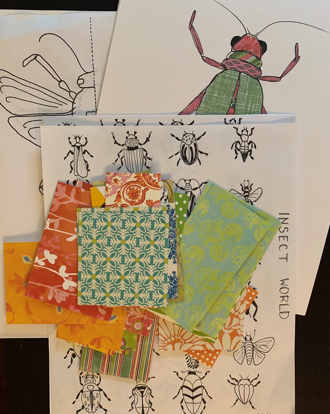 Symmetry Hand Made Insect Isolation Paper Kit for Kids and Adults ...