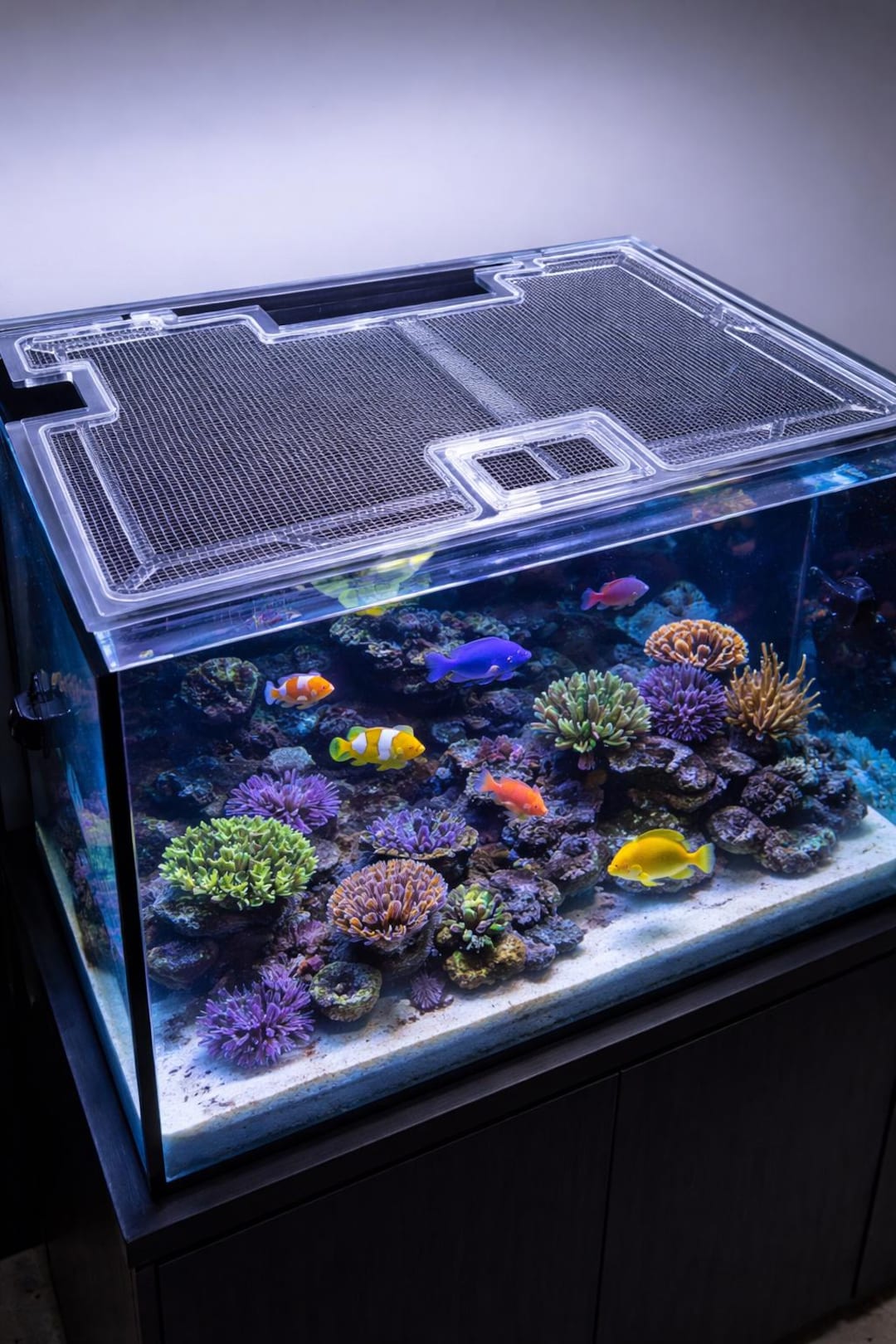 Custom Fish Tank Lid for Red Sea Max Nano G2 | Clear Mesh Aquarium ...