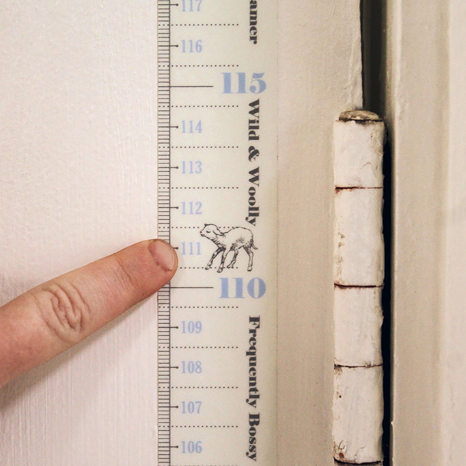 Height Chart / Growth Chart - Blueberry Doorjam - Etsy