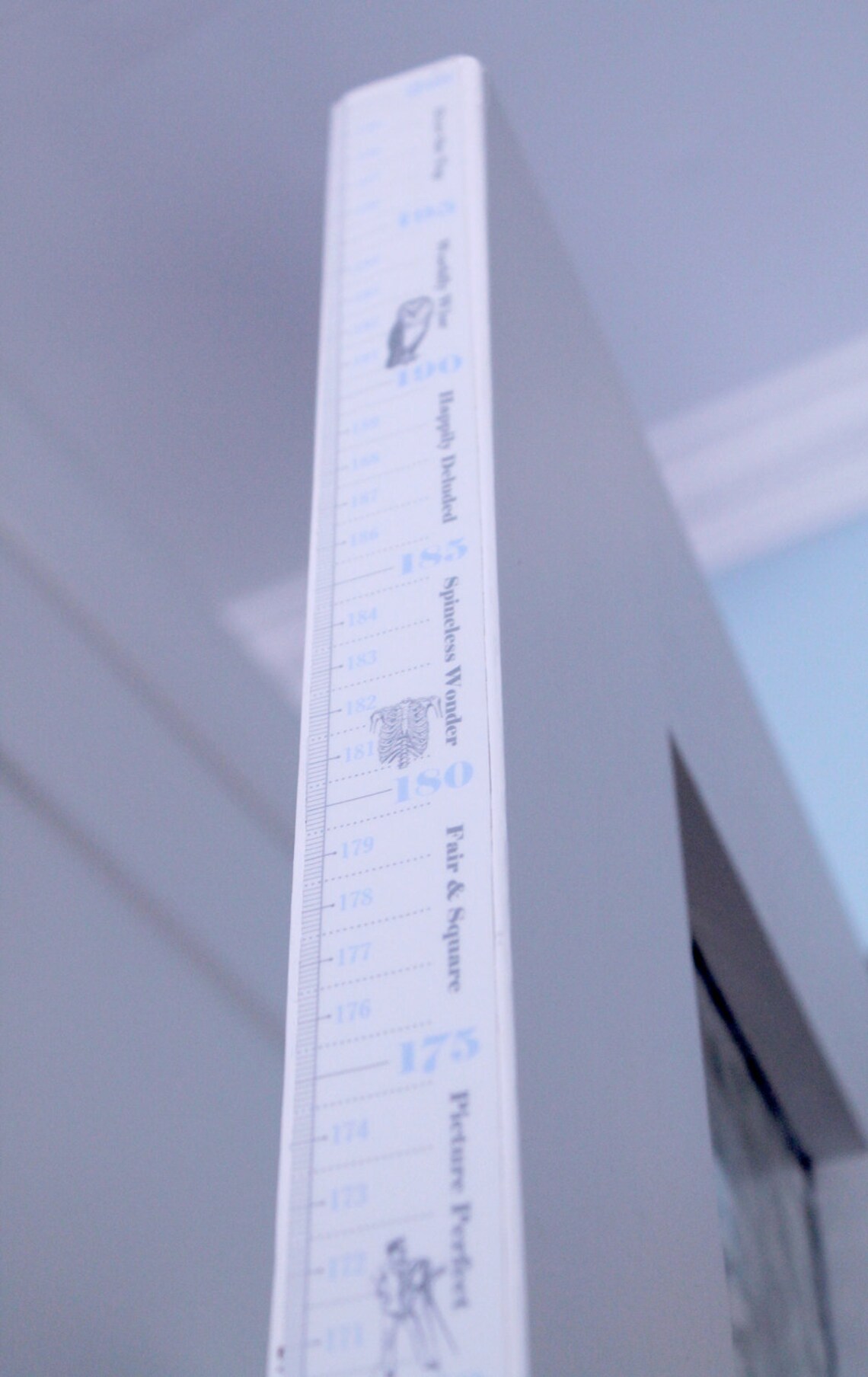 Height Chart / Growth Chart Blueberry Doorjam | Etsy