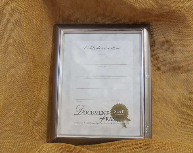 Silver and Steel Gray 8 1/2 X 11 Document Frame - Wall Hanging Picture ...