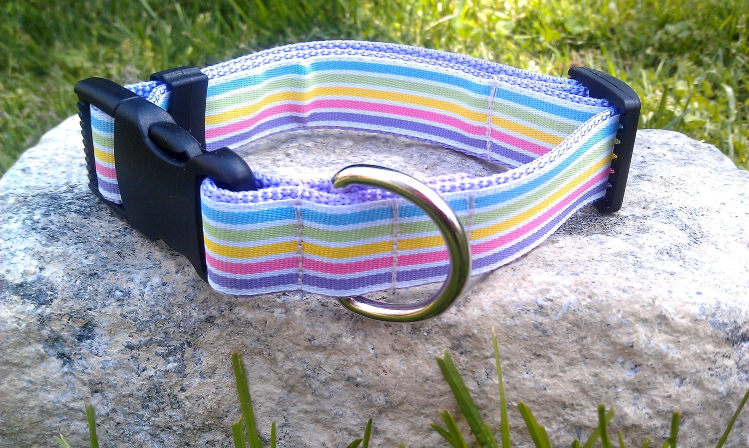 Pastel Rainbow Stripe 1 Inch Width Dog Collar - Etsy