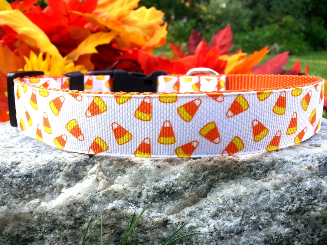 Candy Corn Dog Collar - Etsy
