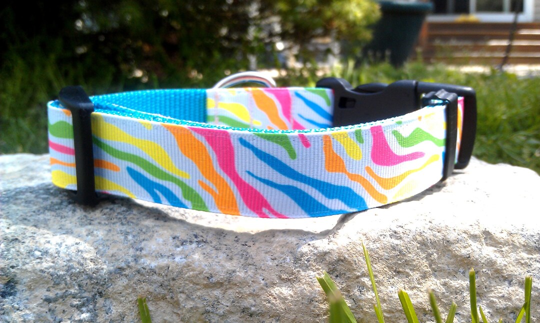 Neon Zebra 1 Inch Width Dog Collar - Etsy