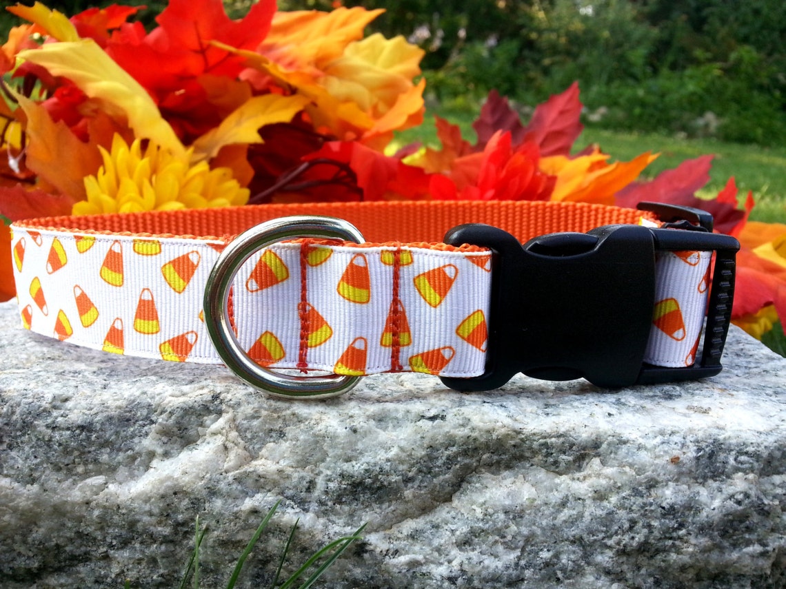Candy Corn Dog Collar - Etsy