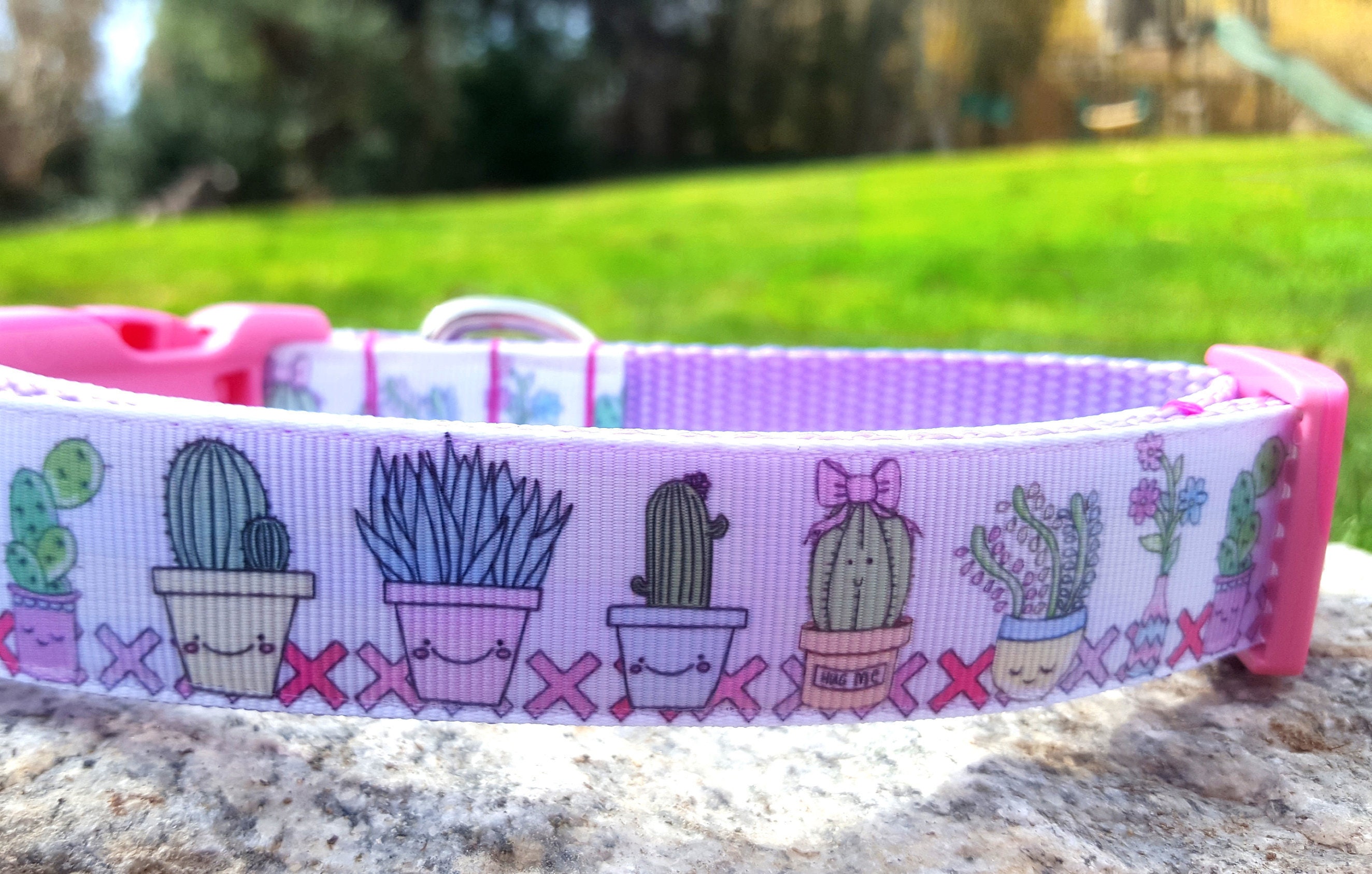 Cute Cacti 1 Inch Width Dog Collar | Etsy