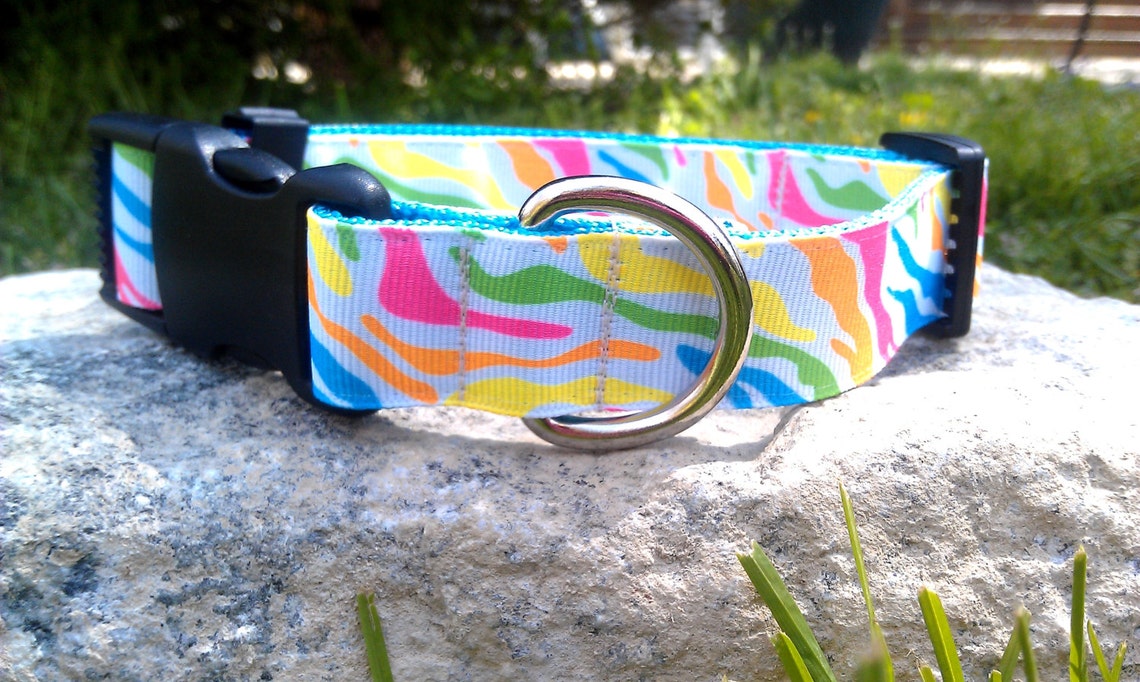 Neon Zebra 1 Inch Width Dog Collar - Etsy