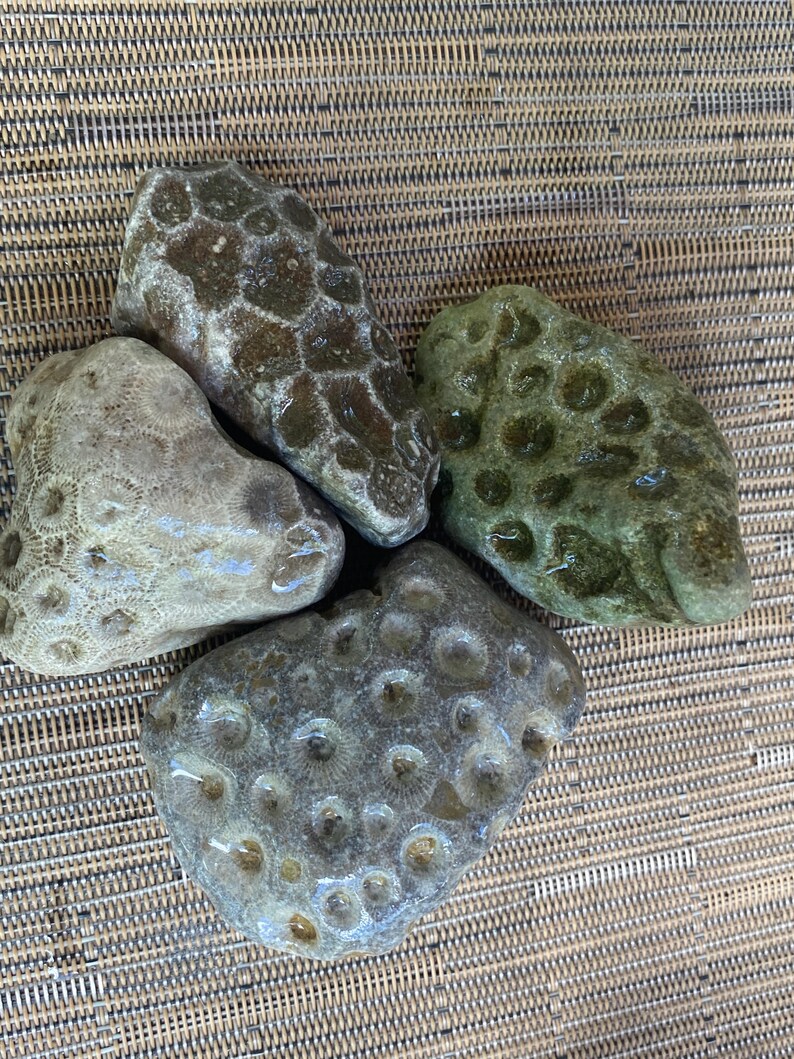 Set of Four Unpolished Petosky Stones - Etsy
