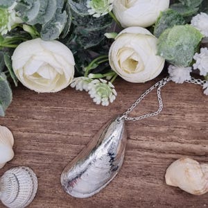 Real Mussel Shell Coated in Silver! Silver Dipped Seashell Pendant ...