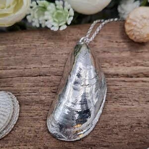 Real Mussel Shell Coated in Silver! Silver Dipped Seashell Pendant ...