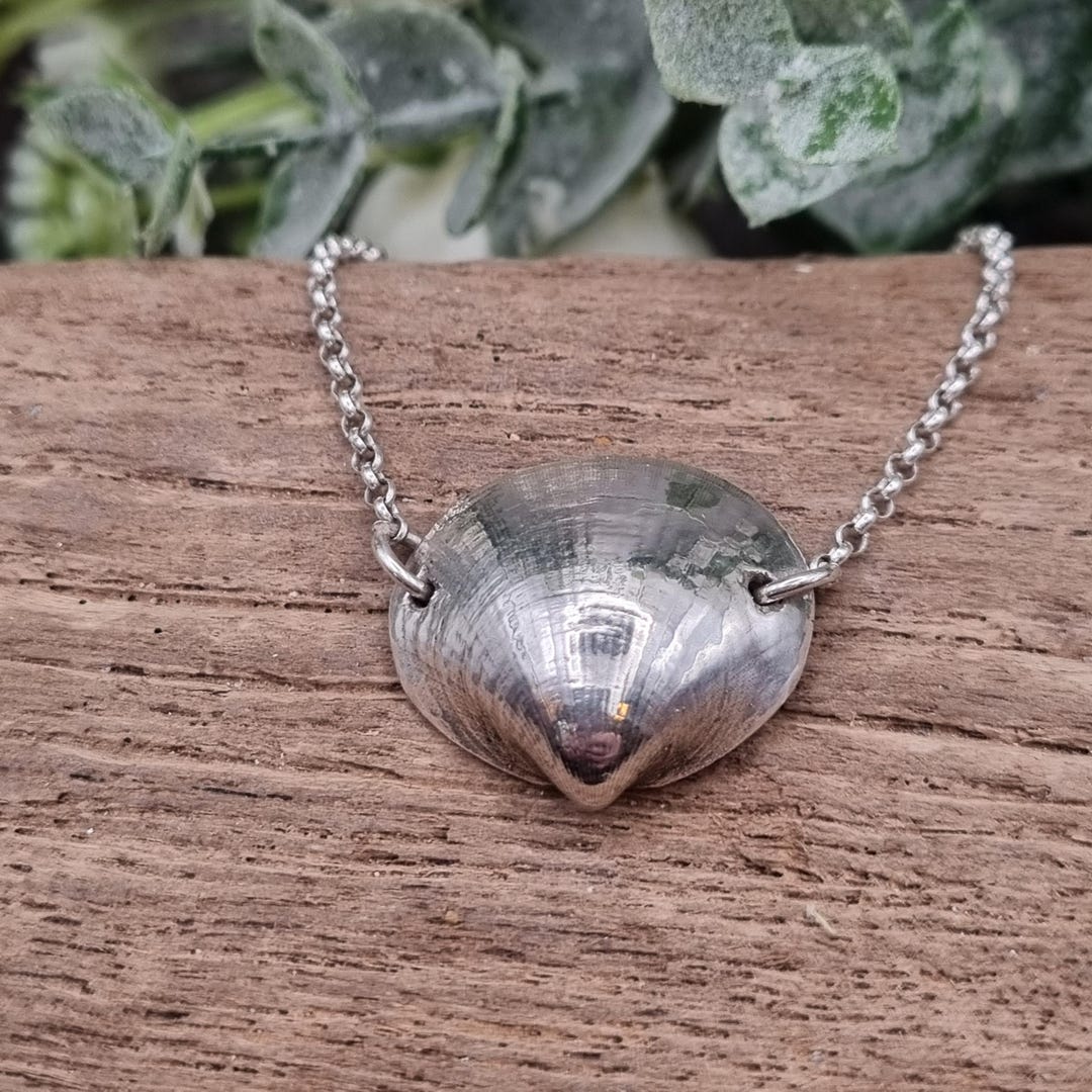 Real Little Clam Seashell Coated in Silver Silver Dipped Shell Pendant ...