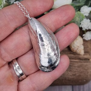 Real Mussel Shell Coated in Silver! Silver Dipped Seashell Pendant ...