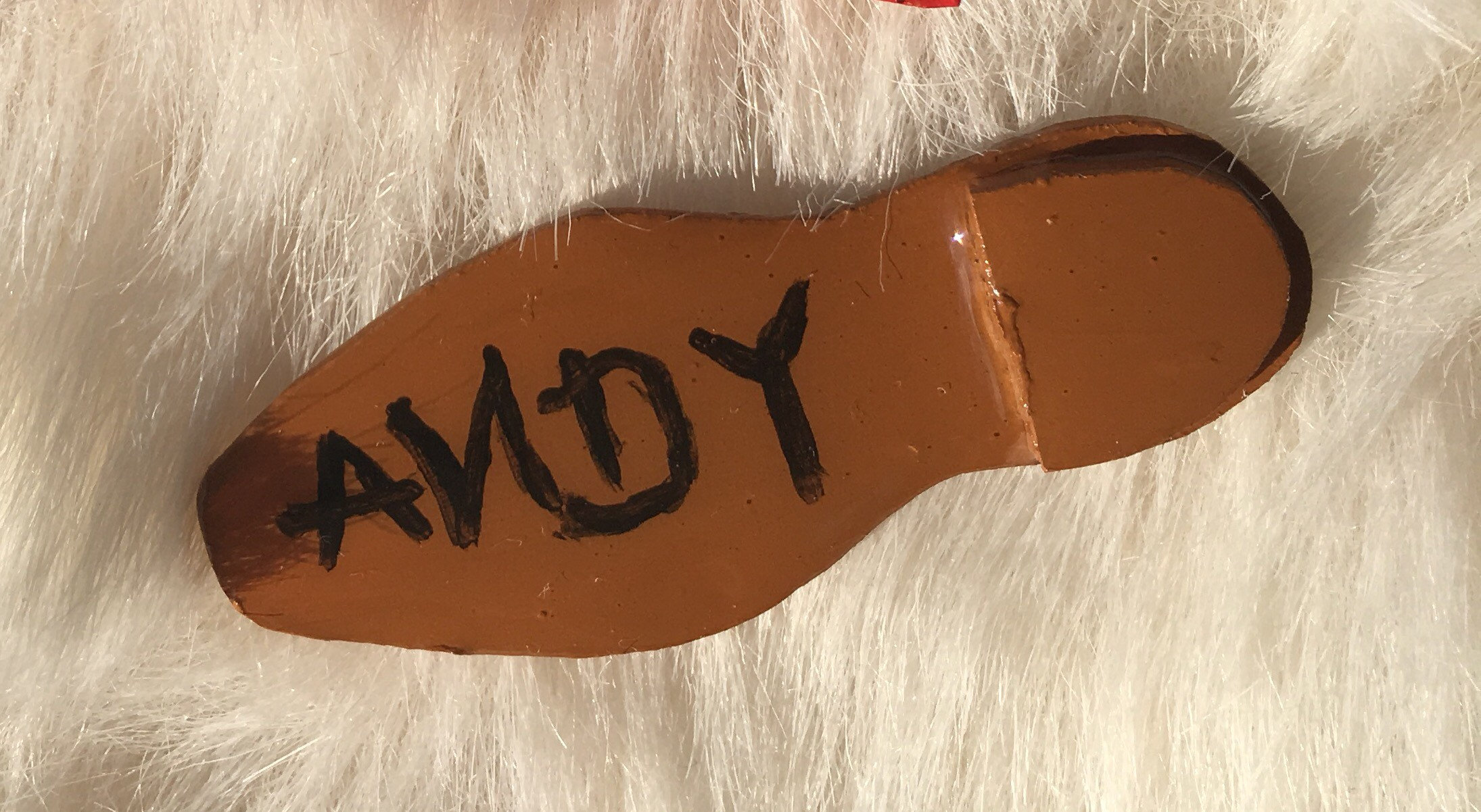 Andy On The Bottom Of Woody's Foot | ppgbbe.intranet.biologia.ufrj.br