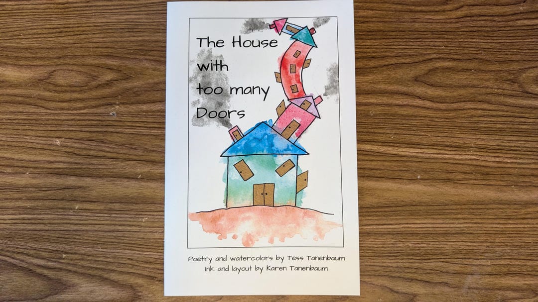 The House With Too Many Doors: Kid's Poetry Book - Etsy