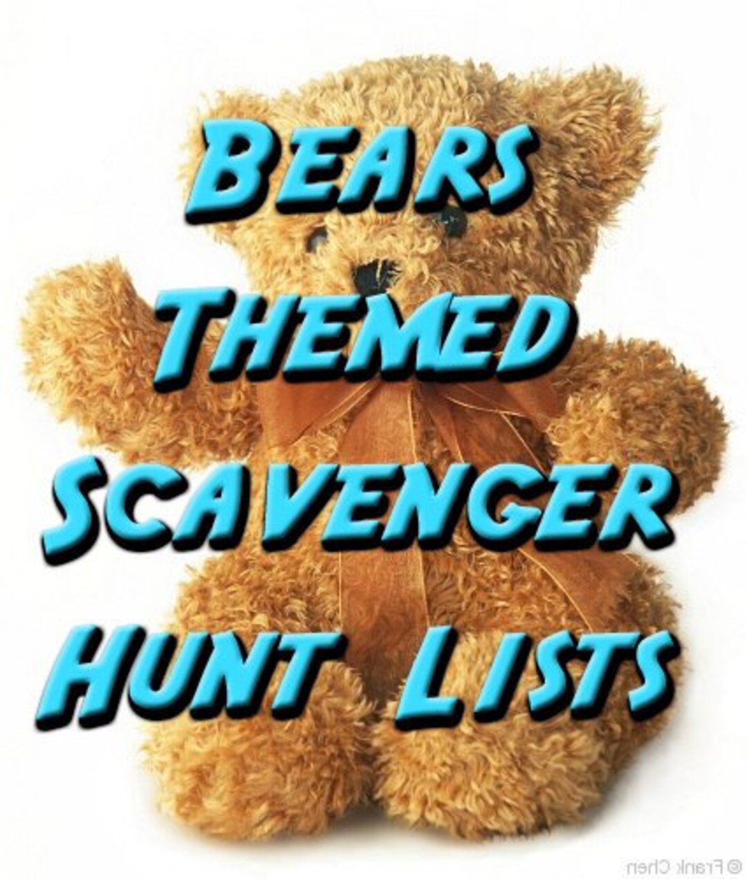 Bear Themed Scavenger Hunt List Collection - Etsy