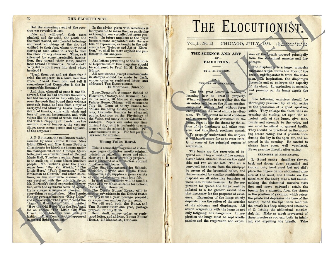 VINTAGE BOOK PAGES Vol. 1/digital Downloads/journal Papers - Etsy