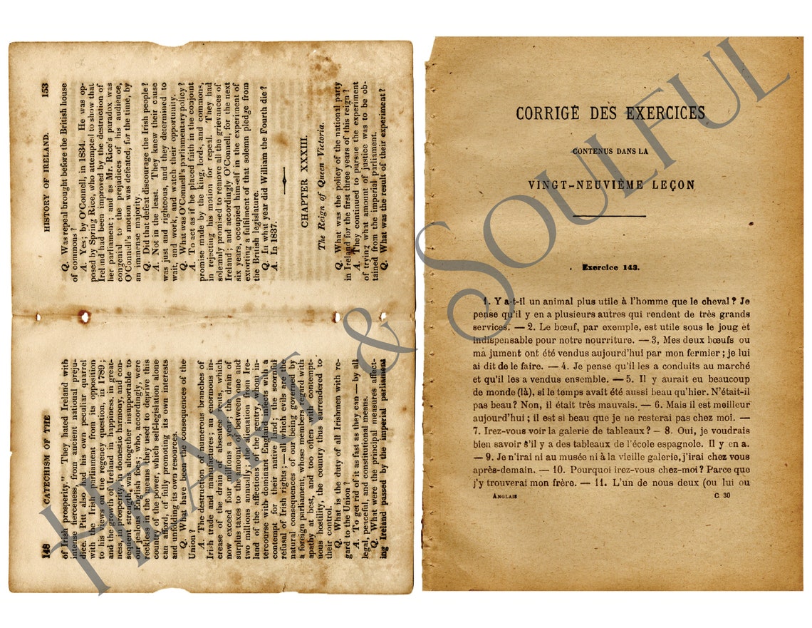 VINTAGE BOOK PAGES Vol. 1/digital Downloads/journal Papers - Etsy