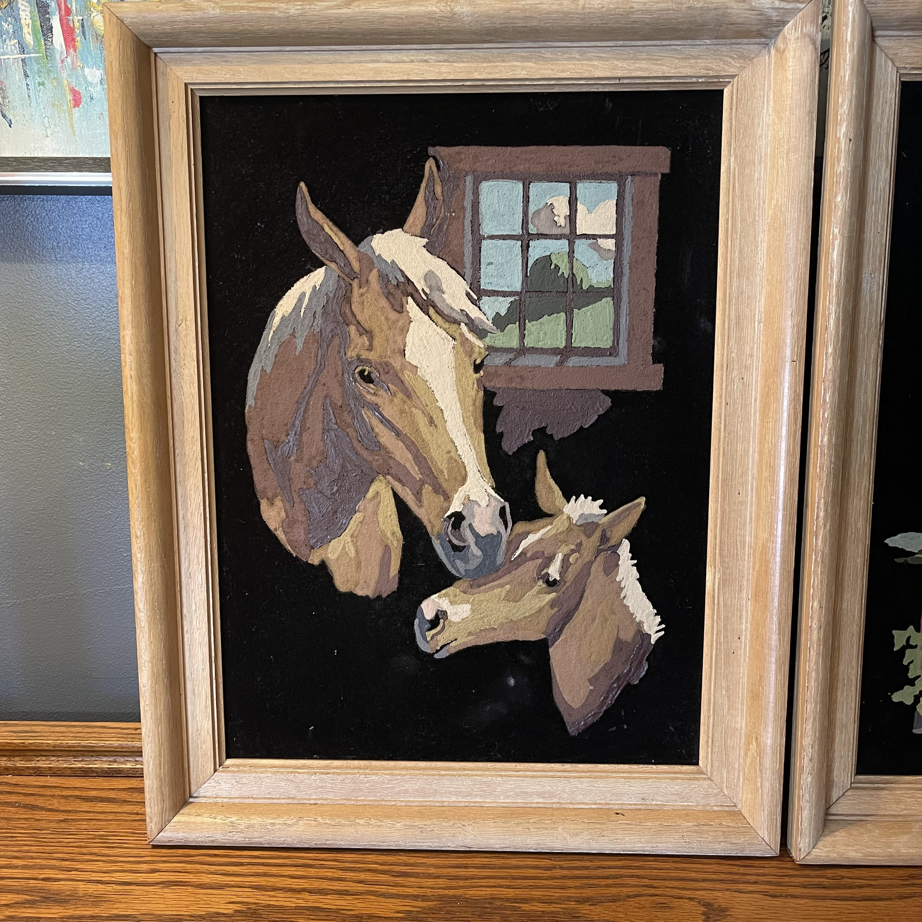 Black Velvet Paint By Number Horses