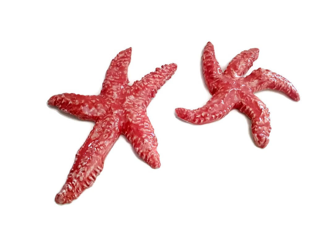 Handmade Ceramic Starfish Wall Decor – Set of 2 Coastal Sea Star ...