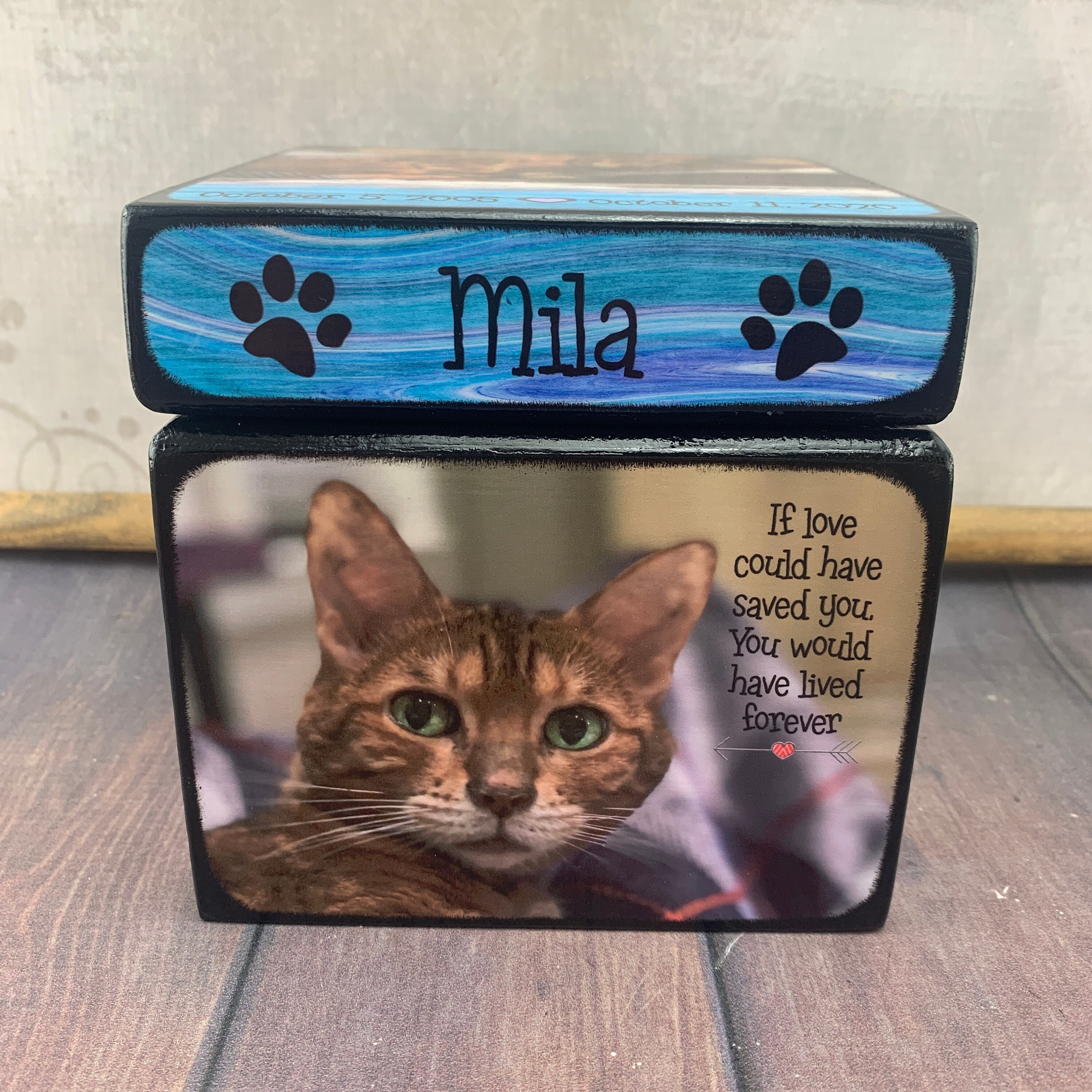 Cat Urn Pet Urn for cats Cat urn with picture cat Urn for | Etsy