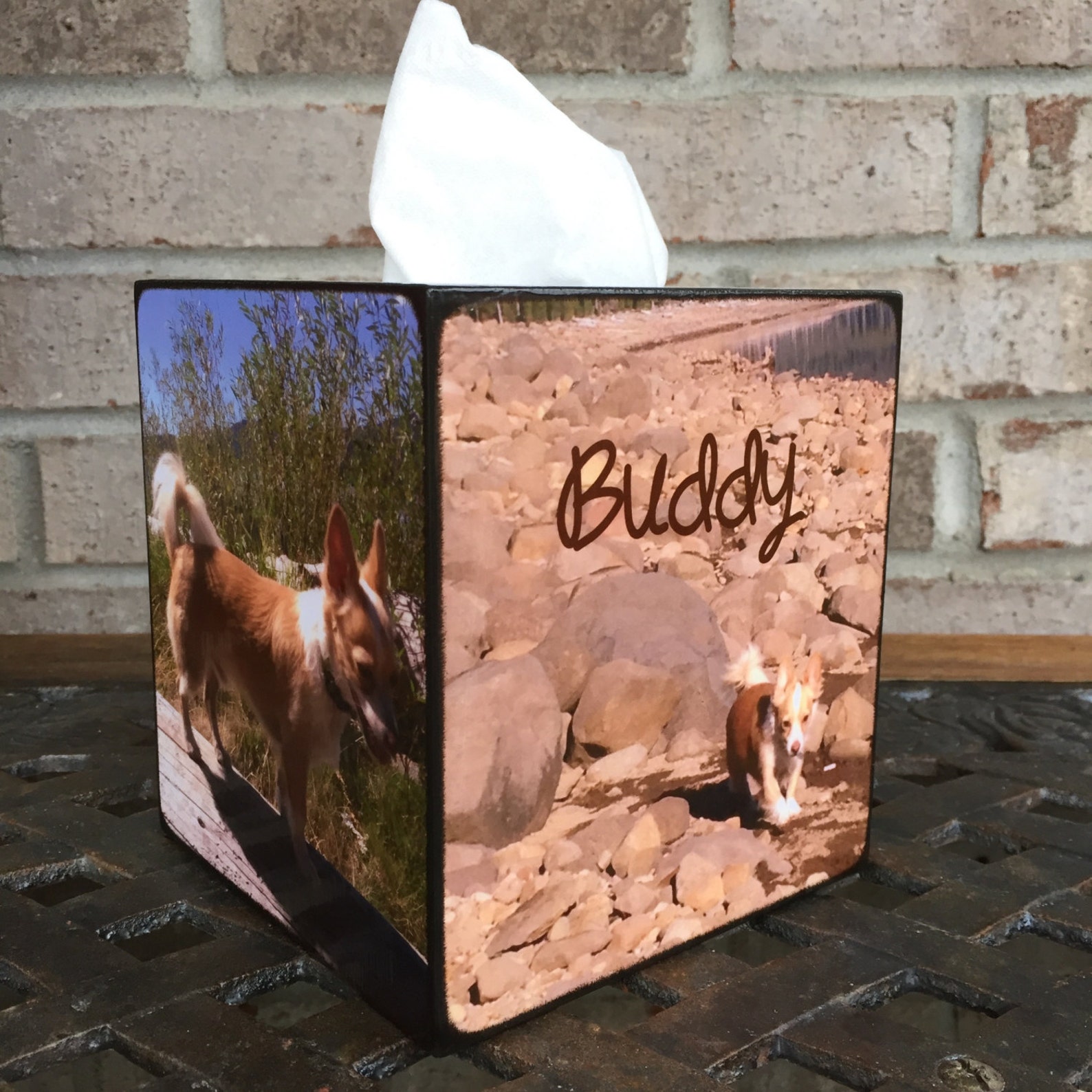 Dog Tissue Box Tissue Box With Photo's Personalized - Etsy