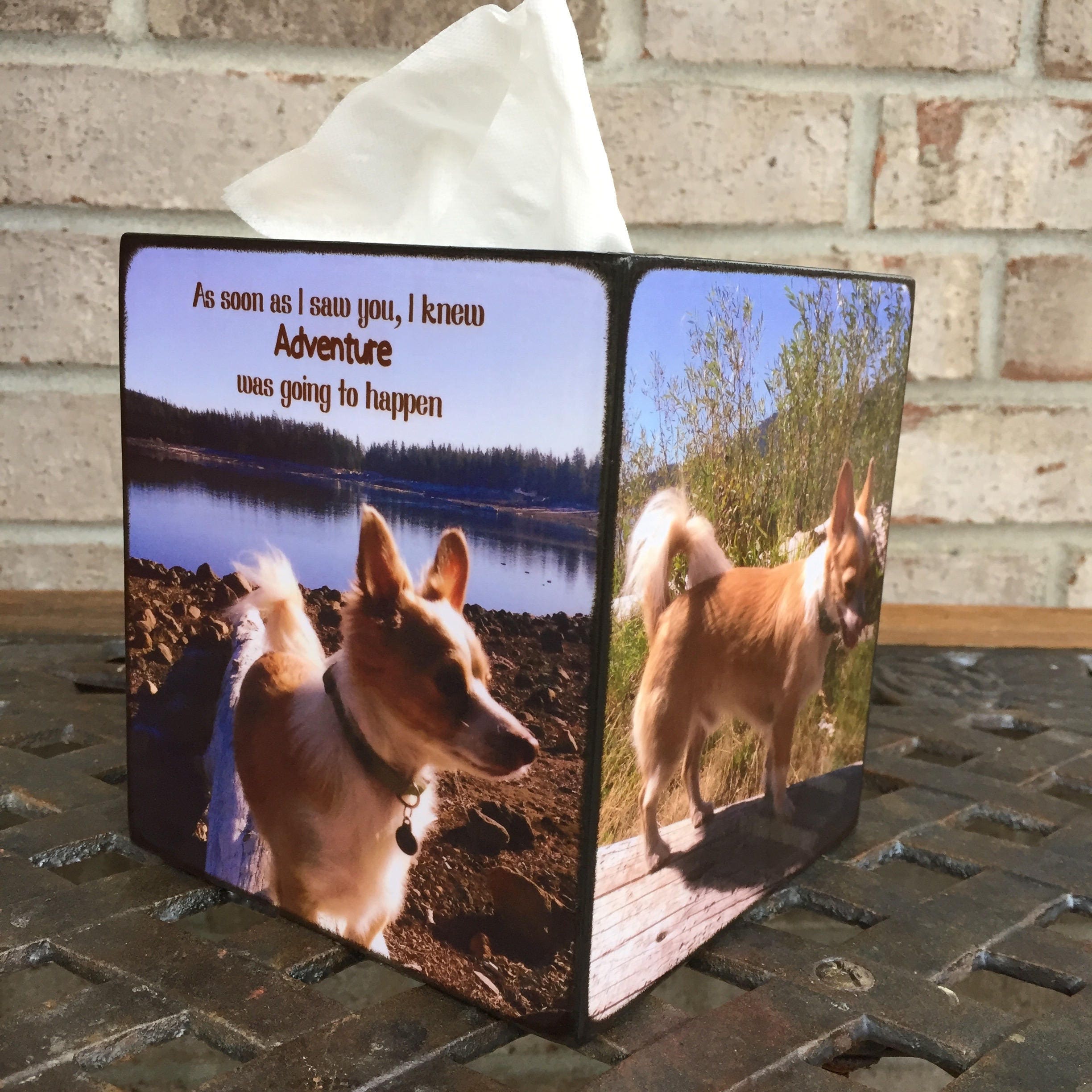 Dog Tissue Box Tissue Box With Photo's Personalized | Etsy