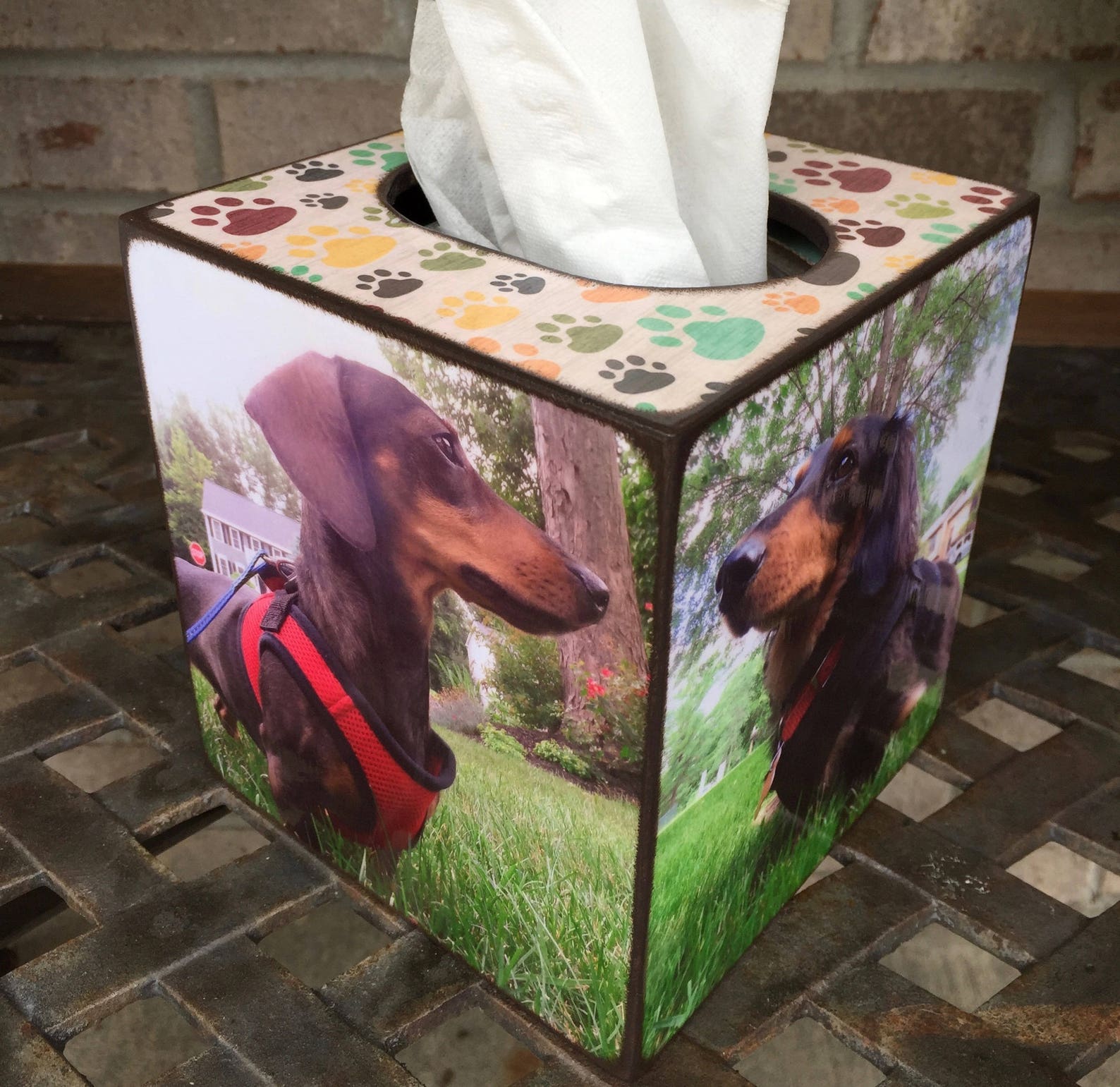 Dog Tissue Box Tissue Box With Photo's Personalized | Etsy