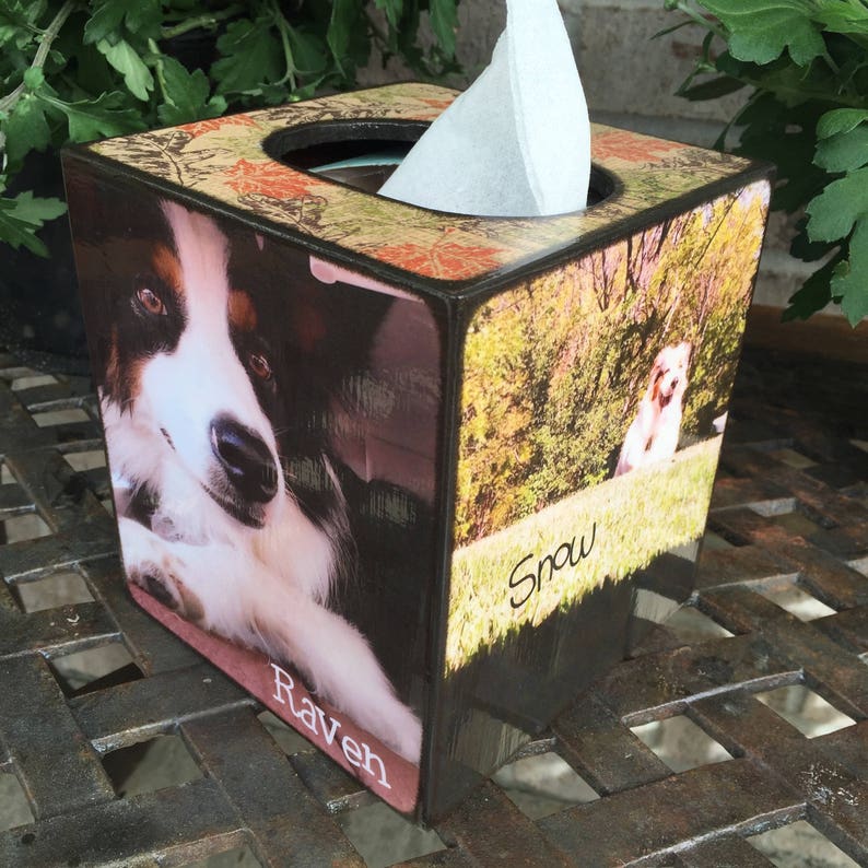 Dog Tissue Box Tissue Box With Photo's Personalized - Etsy