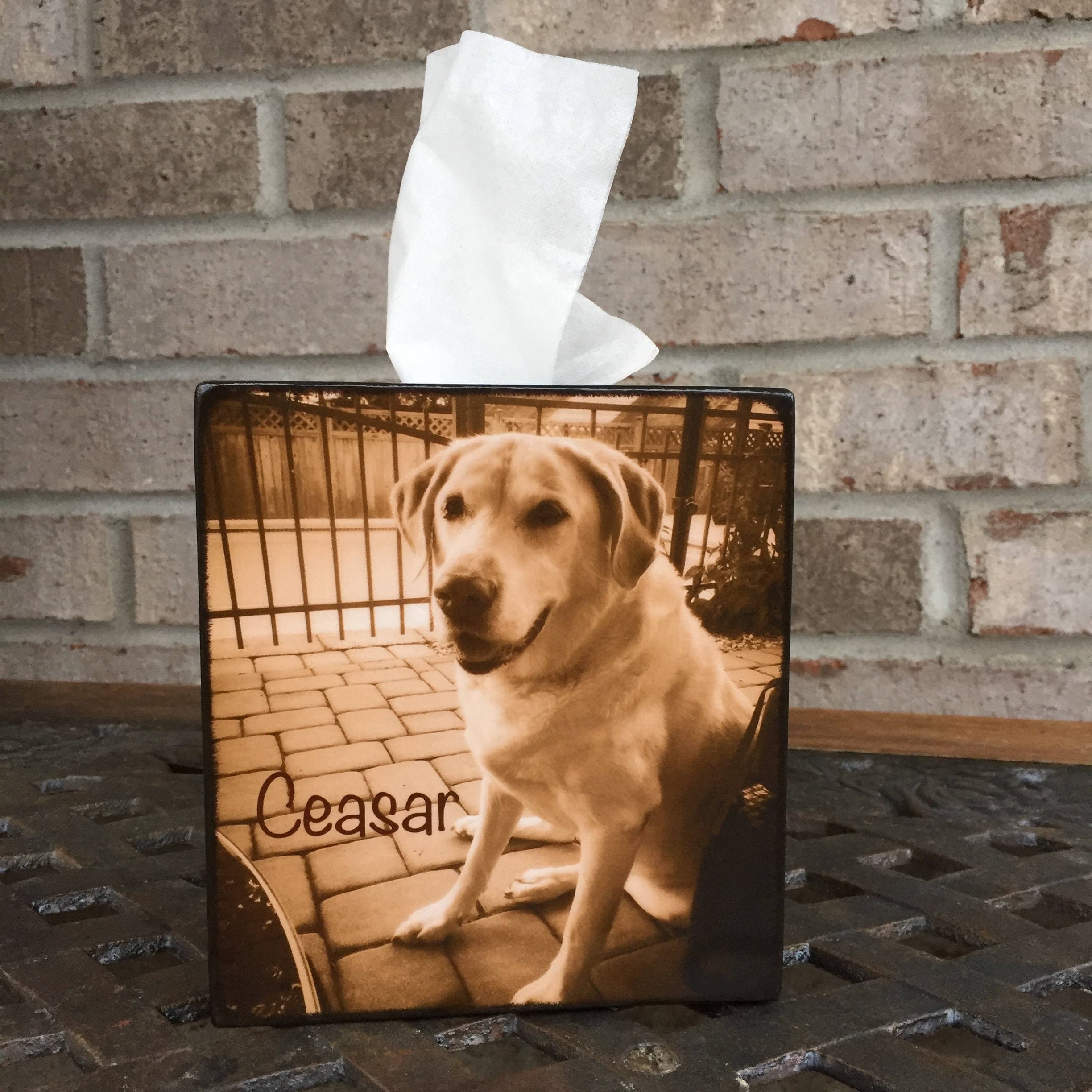 Dog Tissue Box Tissue Box With Photo's Personalized | Etsy