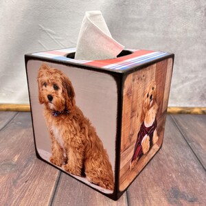 Dog Tissue Box, Tissue Box With Photo's, Personalized Tissue Box - Etsy
