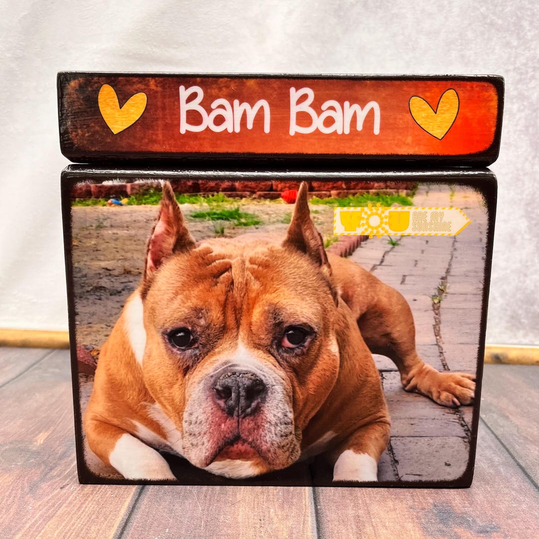 Pet Urn, Large Pet Urn, Wood Pet Urn, Personalized Pet Urn, Pet Urn ...