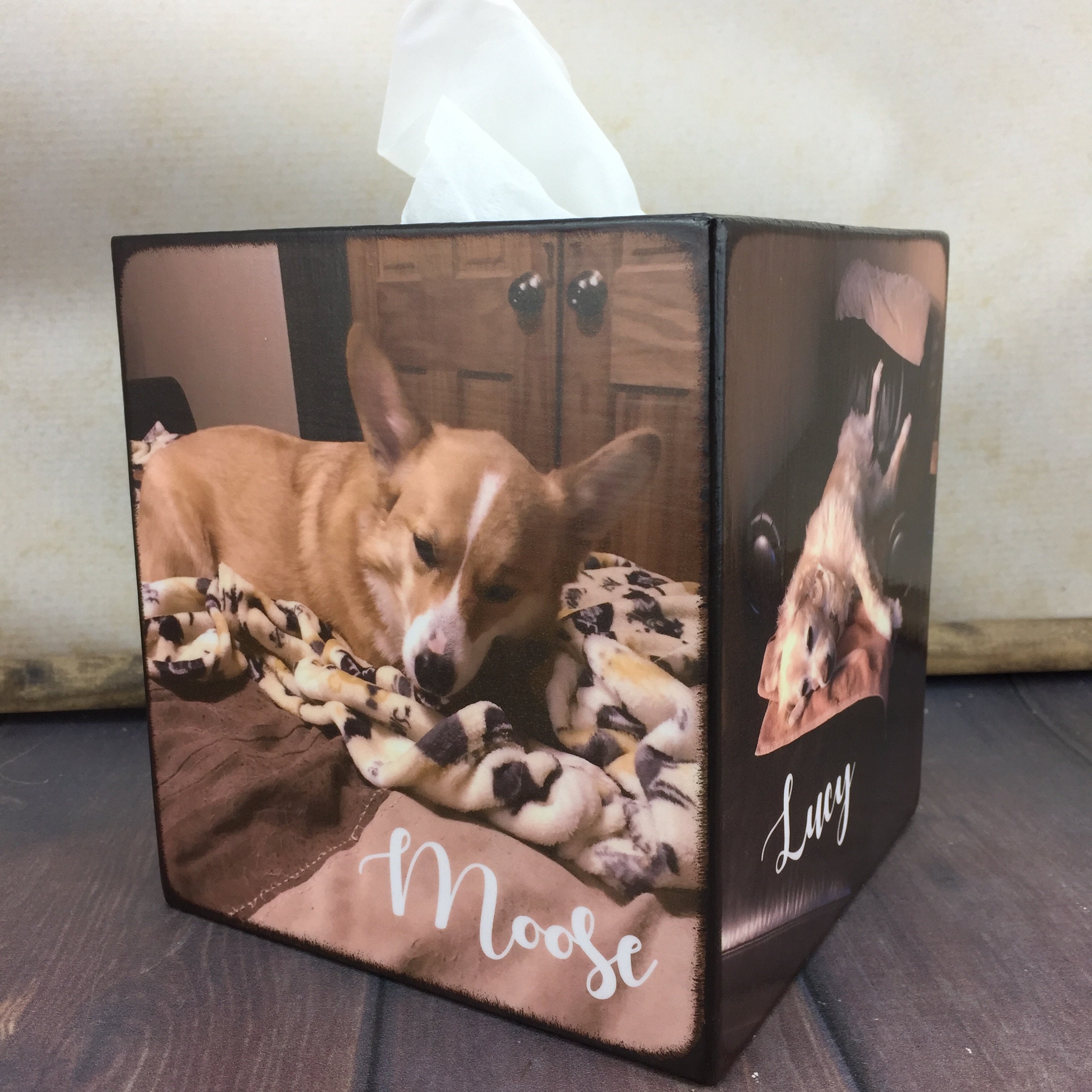 Dog Tissue Box Tissue Box With Photo's Personalized | Etsy