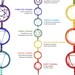 Elegant Seven Chakra Round Shape Wall Hanging of Life Healing 30INCH ...