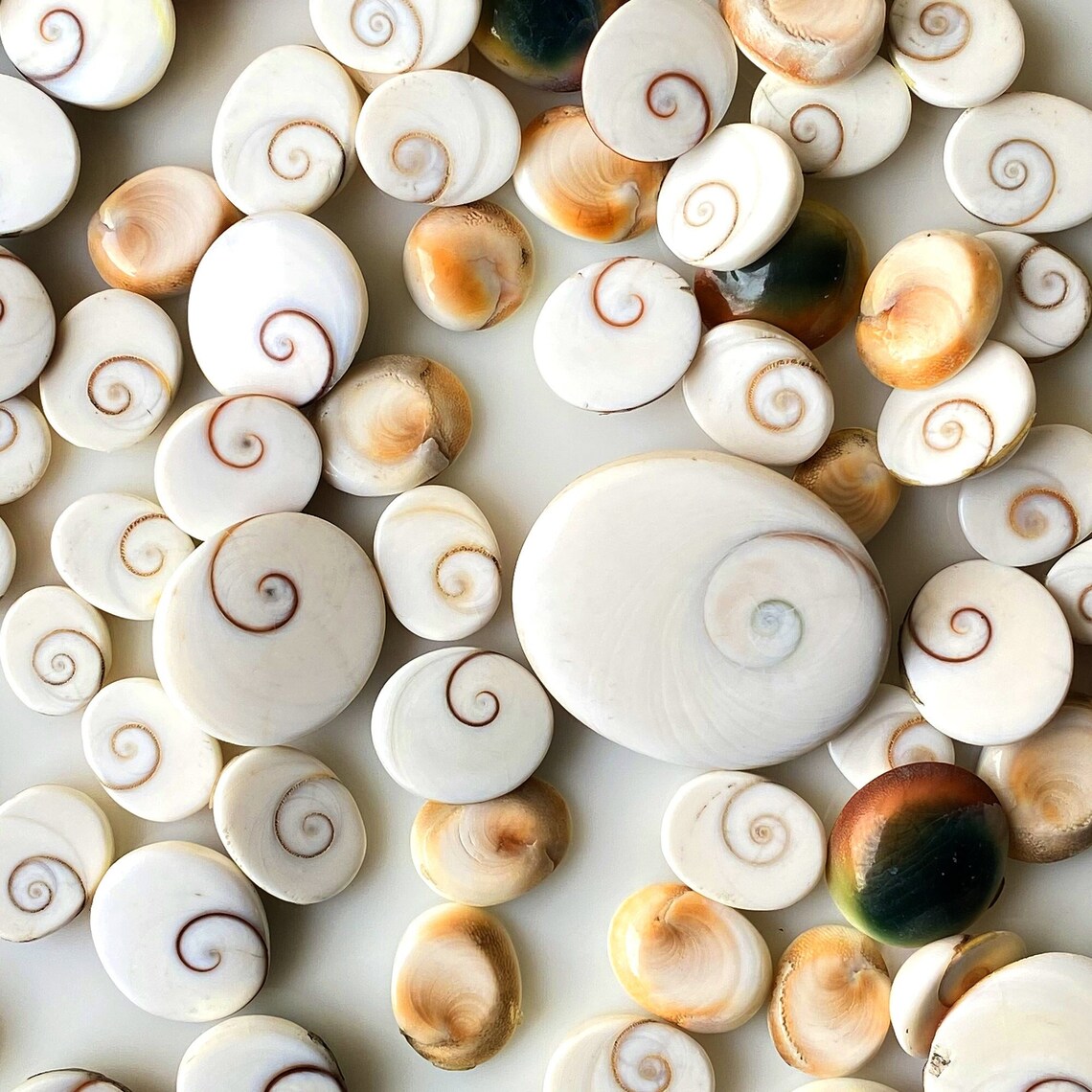 Mix Gems 100ct Lot Natural Shell Gemstones, Mix Bulk Lot, Making Kit ...